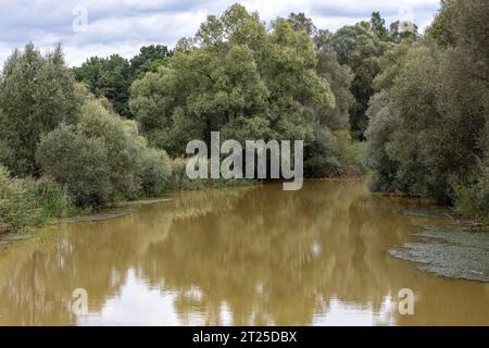 23 September 2023, Brandenburg, Bühlow: Ocher-colored, the Spree flows ...