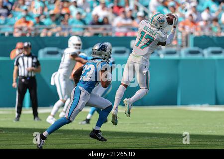 Carolina Panthers wide receiver C.J. Saunders (81) lines up on offense ...