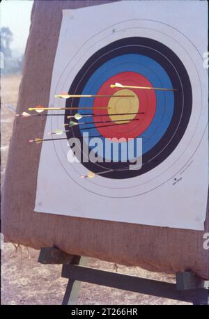 Archery, Target Practice, Archery Board, Arrows, Arrows in a Target ...