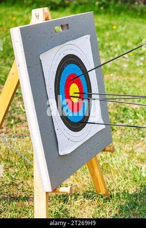 Standard archery target pierced by arrows with one hit the bullseye ...