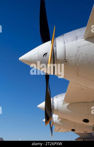 Pratt & Whitney R-4360 Wasp Major radials fitted to a Boeing ...
