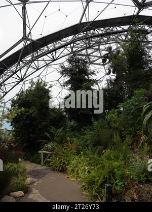 View into the Mediterranean dome of the Eden Project, Bodelva, St ...