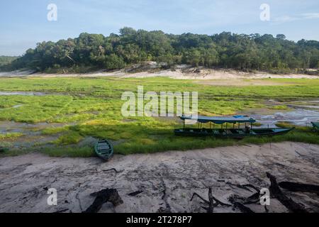 Dry river in extreme drought in the Amazon Rainforest. Wooden bridge ...