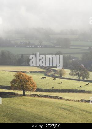 Hopesay Common and the hills near Craven Arms viewed from the Iron Age ...