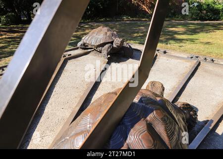 Tortoises With Triangle and Time, outdoor bronze statue in Holland Park ...