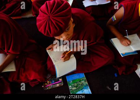 Ramkot, Nepal. 22nd Aug, 2023. Kung Fu nuns replace light bulbs with ...