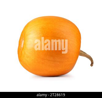 One fresh orange pumpkin isolated on white Stock Photo - Alamy