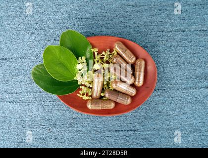 Herbal capsules from bidara with leaf on blue denim background ...