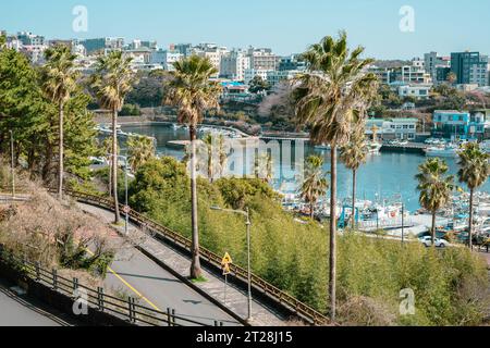 Jeju island, Korea - March 2, 2023 : View of Seogwipo Port and Hallasan ...