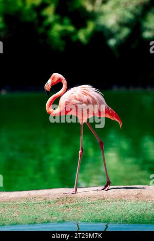 A scenic view of a rocky Feather River in California, USA Stock Photo ...