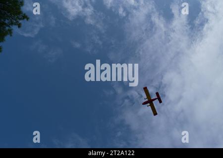 airplane, sky, clouds, tree, branches, flight, transport, aviation ...