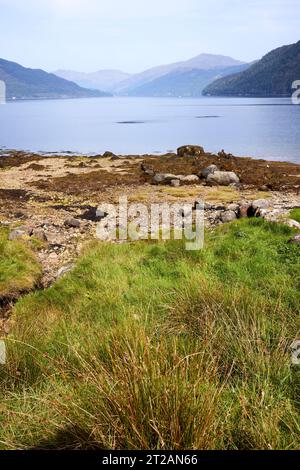 Loch Goil shore at Lochgoilhead, blue sky with some fluffy clouds ...