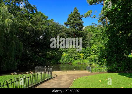 The duck pond, Thompson's Park, Cardiff. Taken October 2023 Stock Photo ...