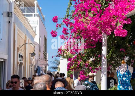 Oia, Santorini, Greece. 20th Sep, 2023. Crowds, tourists and visitors ...