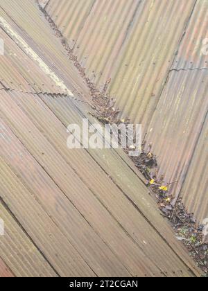 An old, abandoned building in Aldon Gutter near Onibury, South ...