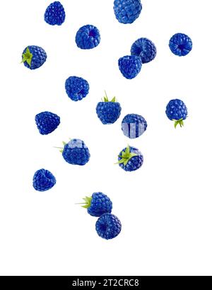Many fresh blue raspberries falling on white background Stock Photo - Alamy