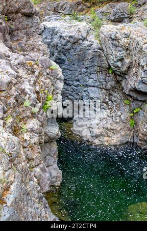 Pool in Sooke Potholes Regional Park Stock Photo - Alamy