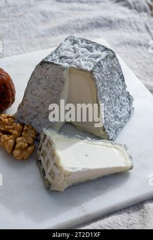 Cheese collection, French Valencay with black mold pyramid cheese made ...