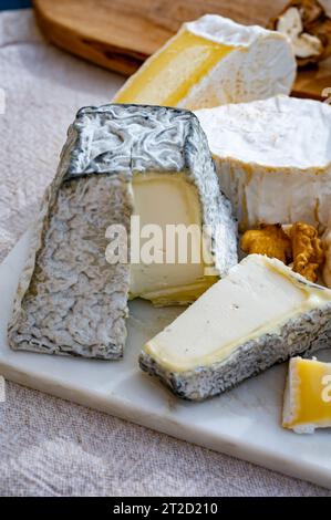 French cheeses collection, Perail les Buissieres sheep cheese ...