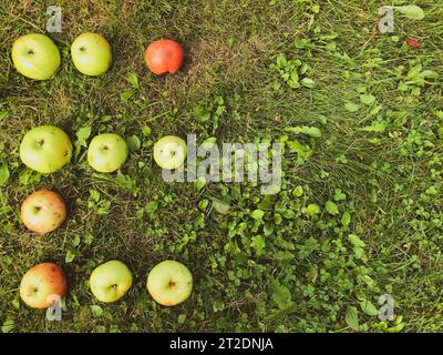 creative art letters from apples. letter E, W, apple inscription, word ...