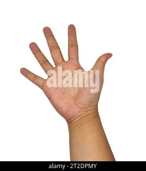Palm hi, hand gesture, sign isolated on white background Stock Photo ...