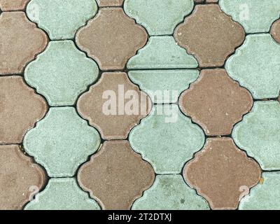 Decorative slate stone paving of path RHS Gardens Royal Horticultural Society garden Rosemoor ...