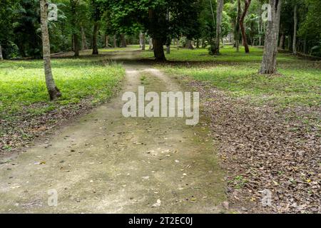 Calzada Blom or the Blom Causeway, a sacbe in the Mayan ruins in Yaxha ...