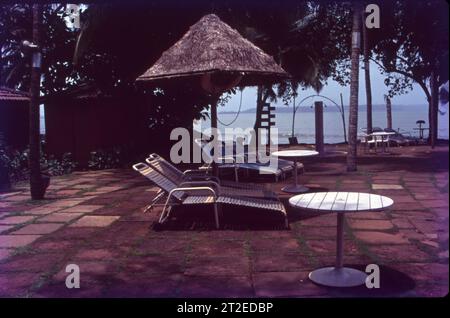 Pool Side View, Hotel Cidad De Goa, Goa, India Stock Photo - Alamy