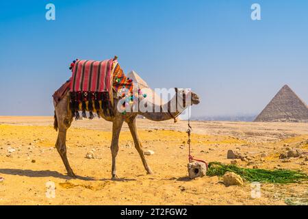 The pyramids of Giza, the oldest Funerary monument in the world, Cairo ...