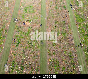 An aerial view of a Pumpkin Patch near Rougham in Suffolk, UK Stock ...