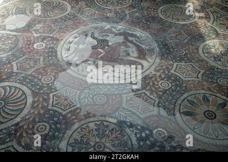 Roman mosaic of Dulcitius Ramalete, IV after Christ, Roman villa of ...