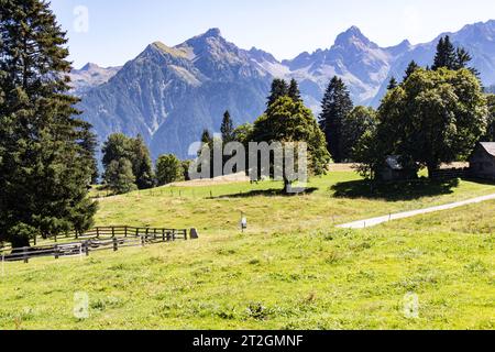 Alpine meadow in the Austrian mountains Bad Hofgastein Schlossalm ...