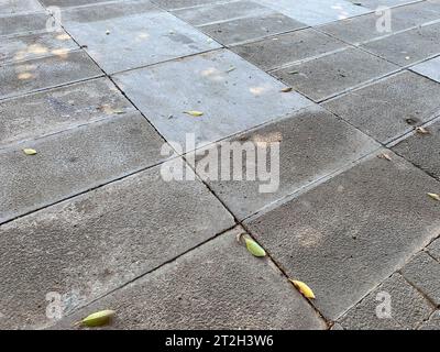 Large square concrete paving slabs. Sidewalk. Top view. Background of ...