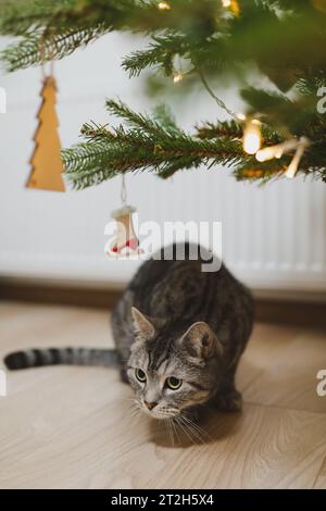 tabby cat under the christmas tree at home Stock Photo - Alamy