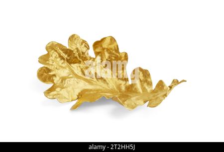 One golden oak leaf isolated on white. Autumn season Stock Photo - Alamy