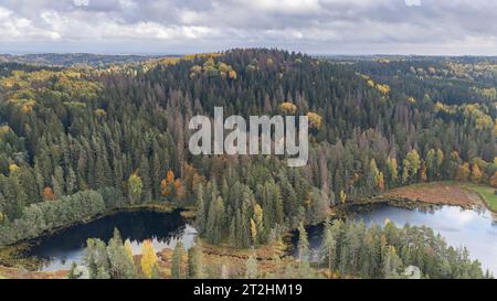 An aerial view of a stunning forested landscape in Voru County, Estonia ...