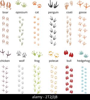 Predator footprint. Wild animals paw prints, cat, bear, tiger, fox and ...