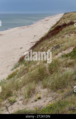 Neringa peninsula, heavy rain. Lithuania Stock Photo - Alamy