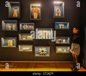 Compton Verney Warwickshire, UK. 20th Mar, 2024. British Permindar Kaur ...