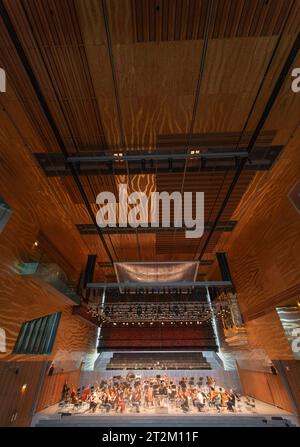 Sala Suggia concert hall, Casa da Musica concert hall, Casa da Musica ...