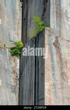 Abandoned red marble quarry Carrière de Beauchâteau at Senzeilles ...