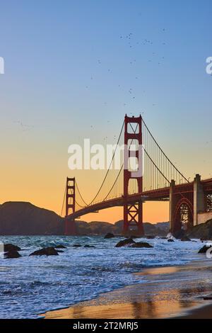 Golden hour on a sandy beach, starfish scattered with mollusks, bathed ...