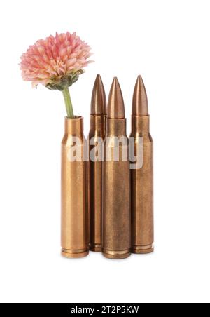 Bullets and cartridge case with beautiful flower isolated on white ...