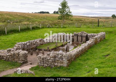 ancient Roman Temple of Mithras at Crawburgh Roman Fort, on Hadrian's Wall Path near Carraw ...