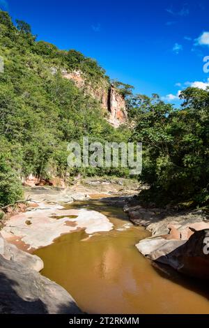 a River in forest at Amboro national park. Bolivia Stock Photo - Alamy