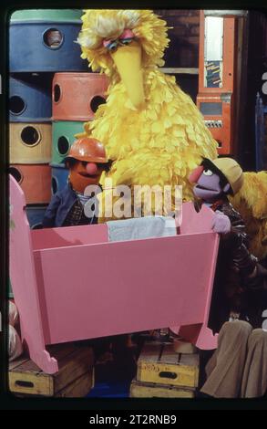 Big bird, sesame street, muppet, puppet in St Patricks Day Parade ...