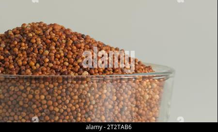Closeup of finger millet grains highlighting the tiny dark grains ...