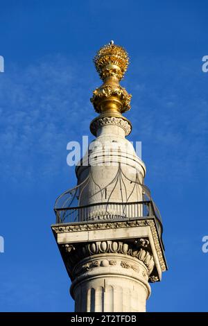 The Monument to the Great Fire of London, a fluted Doric column ...