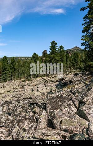 Natural landscape. Accumulations of sharp-angled stone blocks and ridge ...