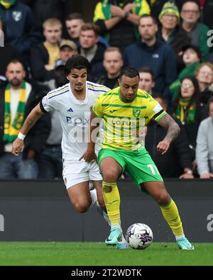 Pascal Struijk #21 of Leeds United celebrates his goal and makes the ...